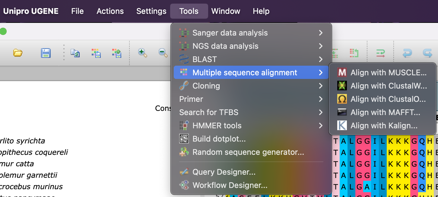 Множественное выравнивание – POLYTECH BIOINF